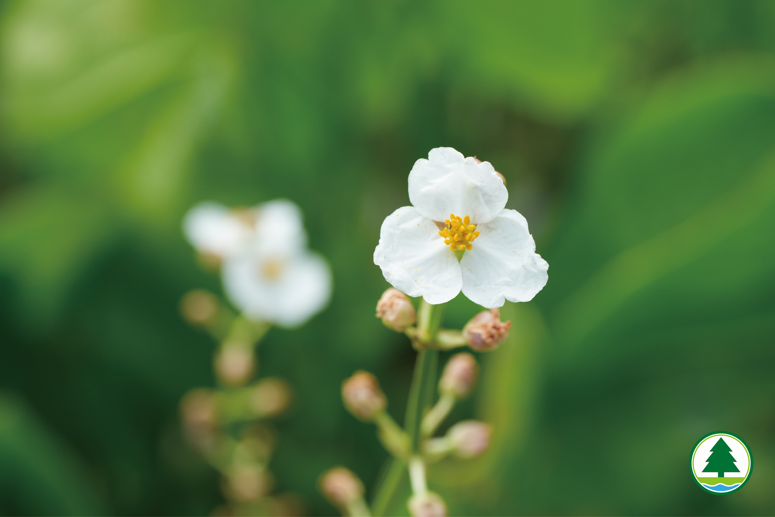 Long Valley Nature Park - Ecology of Long Valley