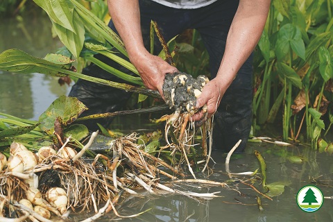 Long Valley Nature Park - Ecology of Long Valley