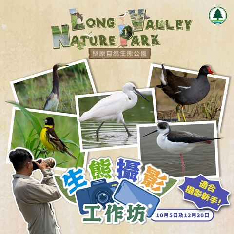 Long Valley Nature Park 塱原自然生態公園